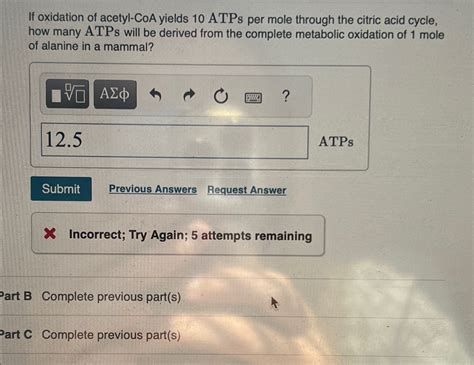 Solved If Oxidation Of Acetyl Coa Yields 10atps Per Mole