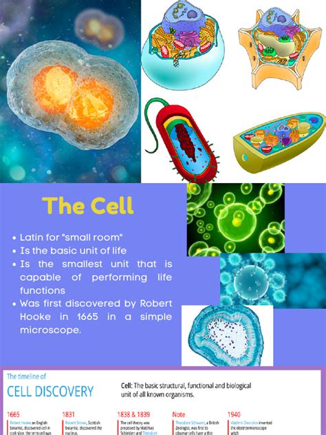 The Cell Its Structure And Function Pdf Cell Biology Organelle