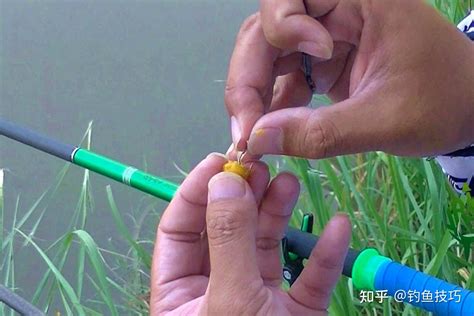 不打窝也能钓到大鲤鱼速钓大鲤鱼的4个技巧 知乎