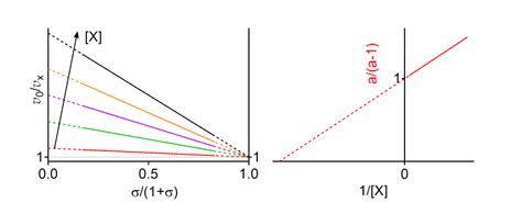 LSpI Kinetic Mechanisms Of Enzyme Inhibition And Activation