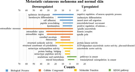 Comprehensive Analysis And Identification Of Key Genes And Signaling Pathways In The Occurrence