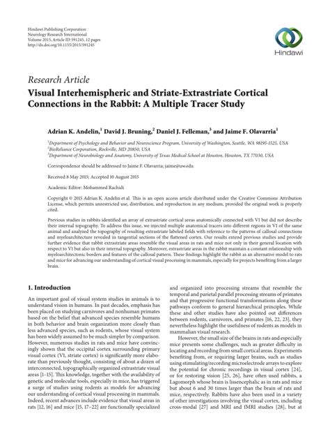 Pdf Visual Interhemispheric And Striate Extrastriate Cortical Connections In The Rabbit A