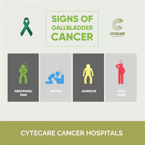 Understanding Gallbladder Cancer Ask The Nurse Expert