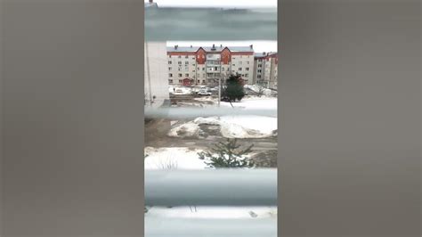 солнышко проснулась новый день на дворе Youtube