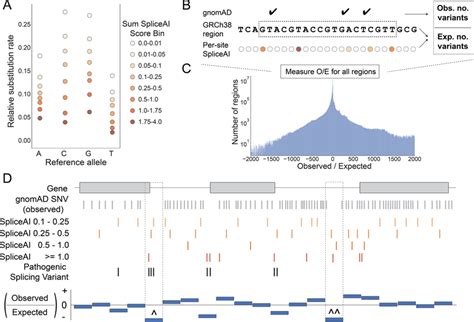Overview Of The Regional Splicing Constraint Model A The Per Site Download Scientific Diagram