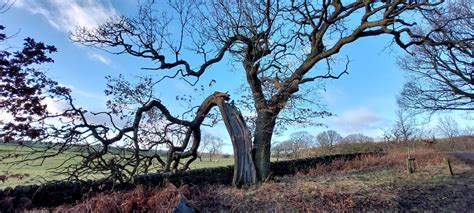 Troubleshooting Connection Issues With Vs Code Oracle Sql Developer Extension