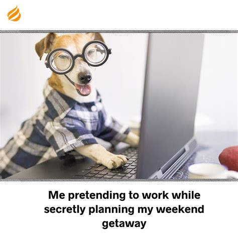 Debasish Mondal On Linkedin Restingbutnotreally Memelovers Funny