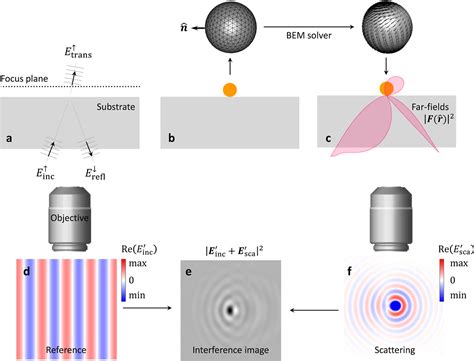 Unified Simulation Platform For Interference Microscopy Acs Photonics