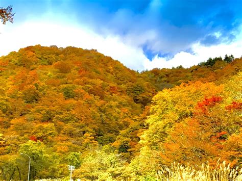 山のお化粧うみ 葉野子