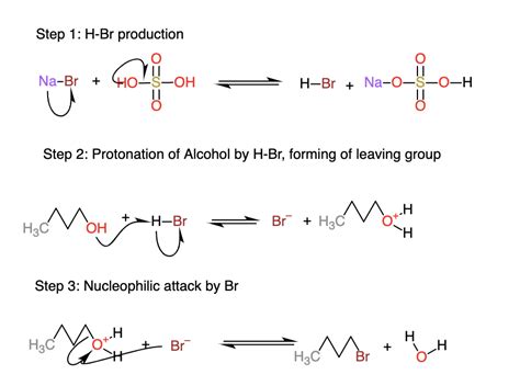 Solved Urgent Please Answer All The Questions 1explain