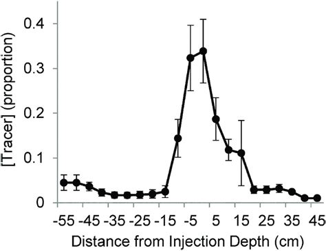 The Proportion Of Tracer Concentrations Tracer Relative To Target