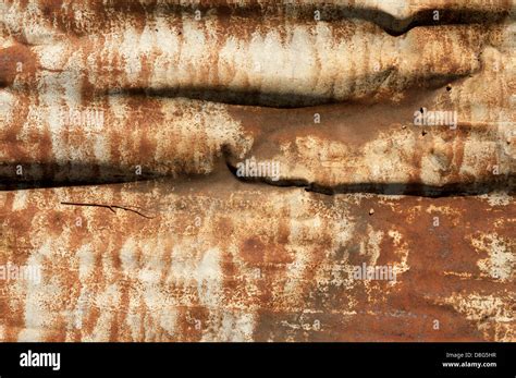 Rusty Tin Surface Stock Photo Alamy