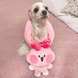 Geonu S Blog