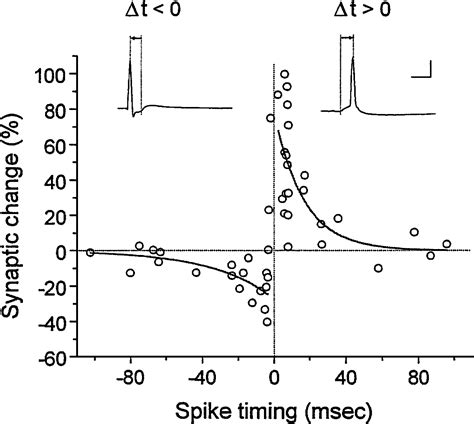 深度神经网络（dnn）是否模拟了人类大脑皮层结构？ 知乎