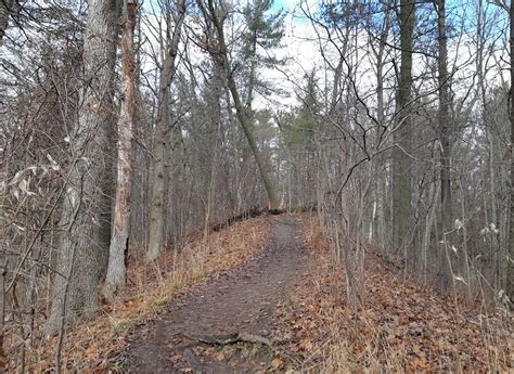 Snowflake Database Replication Failover And Failback By Feng Li Medium