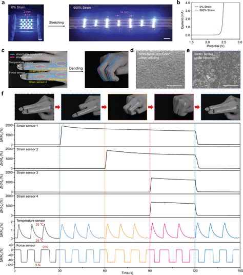a encapsulated stretchable led array wired by the stretchable download scientific diagram