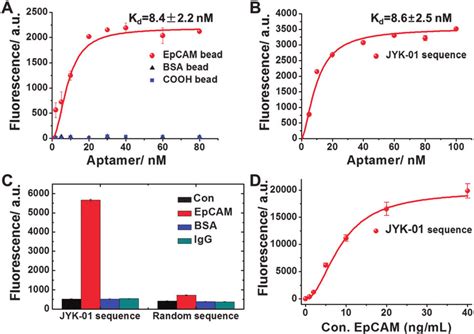 A We Used A Fluorescence Based Bead Assay To Measure The Binding