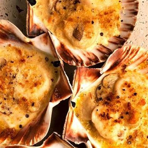 Scallops In The Shell