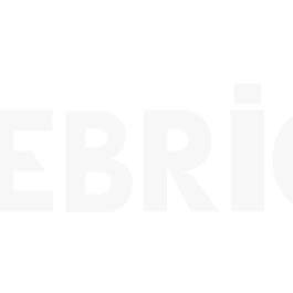 Technic Axle L With Pin Without Friction Ridges Lengthwise