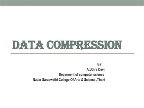 Dominos Pulse System Ppt