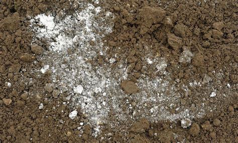 Конский навоз для подкормки клубники - читайте в статье компании Олимп