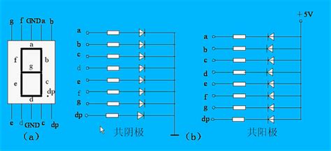 51单片机学习笔记【三】——数码管实验 静态数码管实验报告 csdn博客