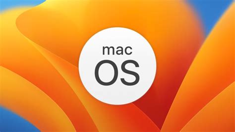How To Set PATH Variable In MacOS TechLatest