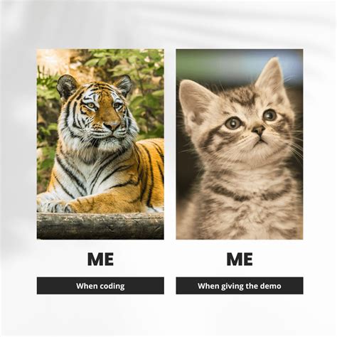 coders be like r programmerhumor