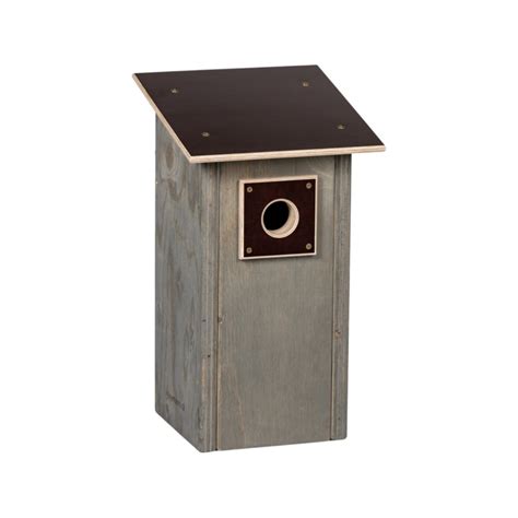 House Sparrow nest box vertical Toinenluonto fi Linnunpöntöt ja ruokintapaikat helposti