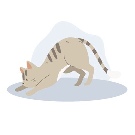 Cartoon Cat Side View Vector Images Over 530