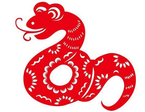 屬虎人不得不知的5個風水禁忌！ 每日頭條