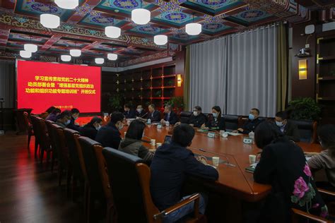 我校召开学习宣传贯彻党的二十大精神动员部署会 上海体育大学