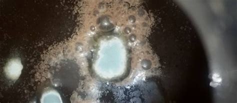 Beer Infection How To Recognize And Prevent