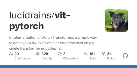Vit Pytorch Vit Pytorch Local Vit Py At Main Lucidrains Vit Pytorch GitHub