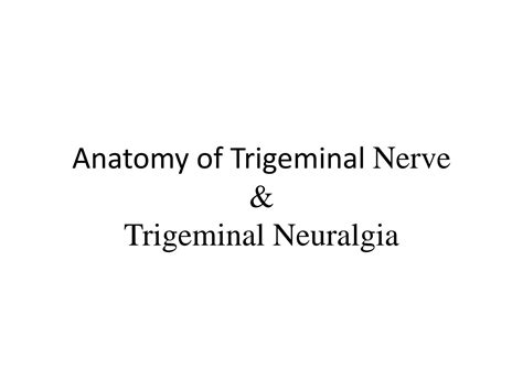 Solution Trigeminal Neuralgia 1 Studypool