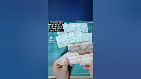 포용계 브이로그 Youtube