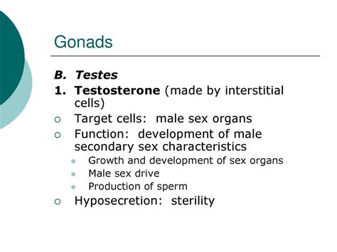 The Endocrine System Anatomy Physiology Ppt Download