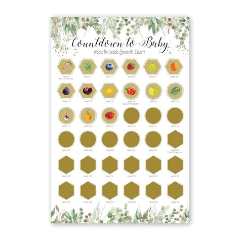 Pregnancy Countdown Scratch Off Chart Pregnancy Growth