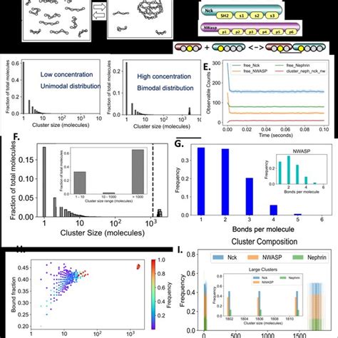Characterization Of Molecular Clusters A Two States Of Molecular