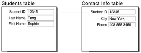 Typeorm With Nest Js Basic Tutorial Inapps