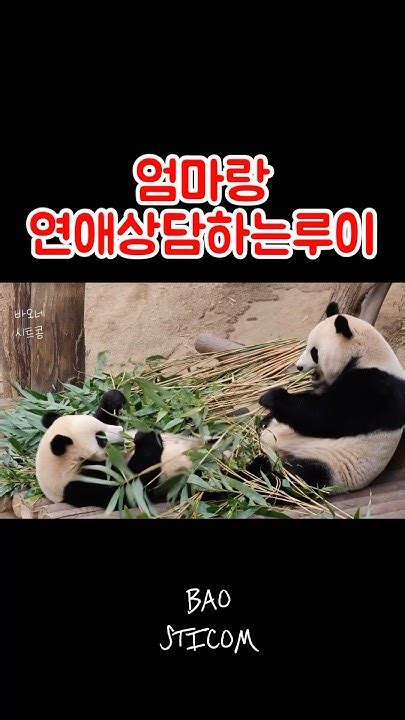 결혼에대한 현실적인조언을해주는 아여사님🤣 Youtube