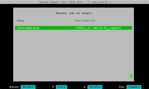 Starting Backup Job From Control Panel Veeam Agent For Ibm Aix User Guide