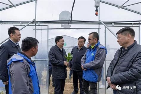 夏红民在毕节调研时强调：提高政治站位 增强履职本澎湃号·政务澎湃新闻 The Paper