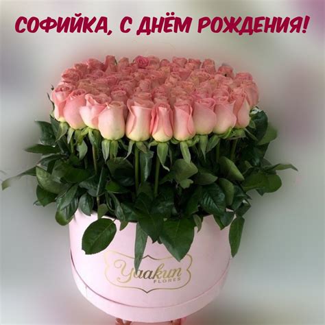 Открытки С Днем Рождения София 107 шт