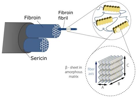 How To Measure Extremely Thin Single Protein Fibers