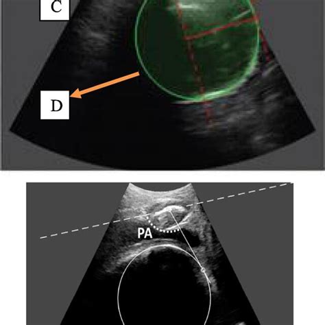 Eco View Panel Of Measuring Aop Download Scientific Diagram