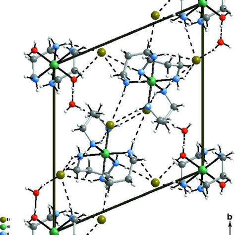 Projection Of The Structure Of I Along The A Axis Download Scientific Diagram