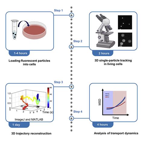 Cell Press Star Protocols