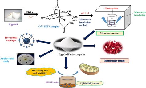 蛋壳基羟基磷灰石的抗氧化、抗菌、溶血和细胞毒作用评价 Journal Of Cluster Science X Mol