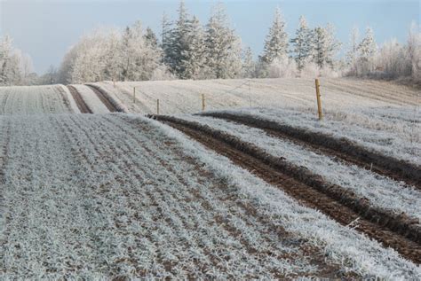 Deploying Aspnet Core Applications From Bitbucket To Azure Dev Community